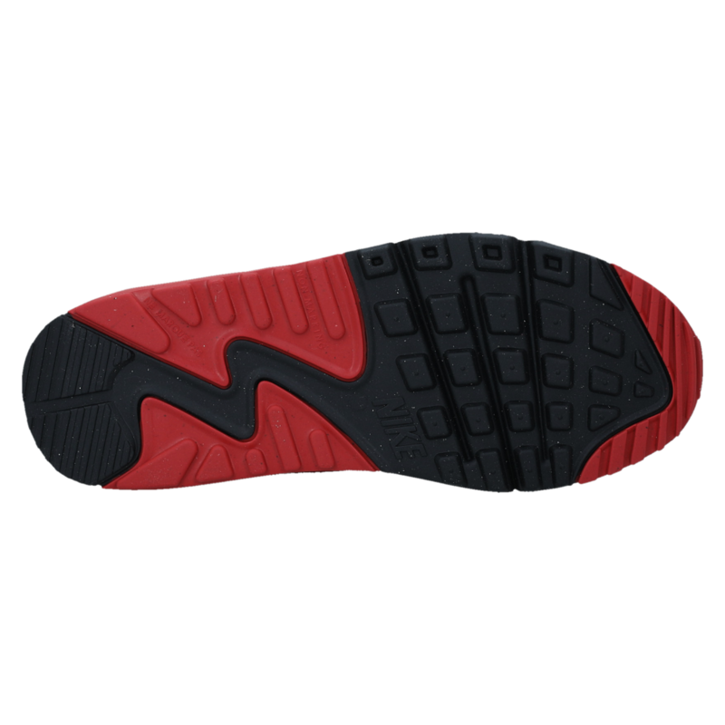 Dečije patike Nike AIR MAX 90 LTR GS